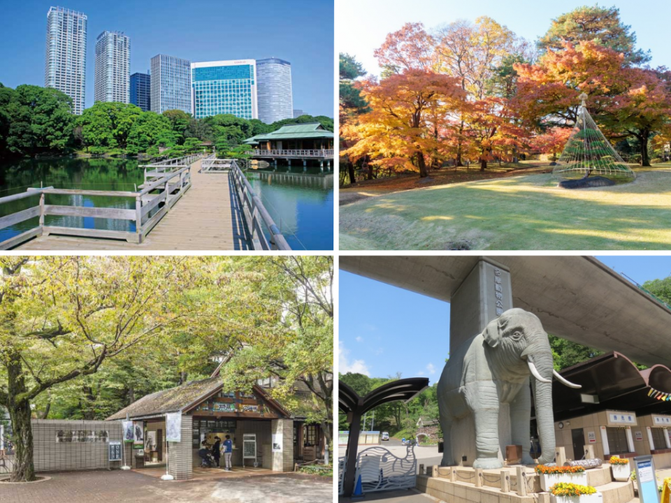 10月1日「都民の日」に無料で楽しめるおすすめスポット15選をご紹介！涼しい秋のおでかけを楽しもう - まっぷるウェブ